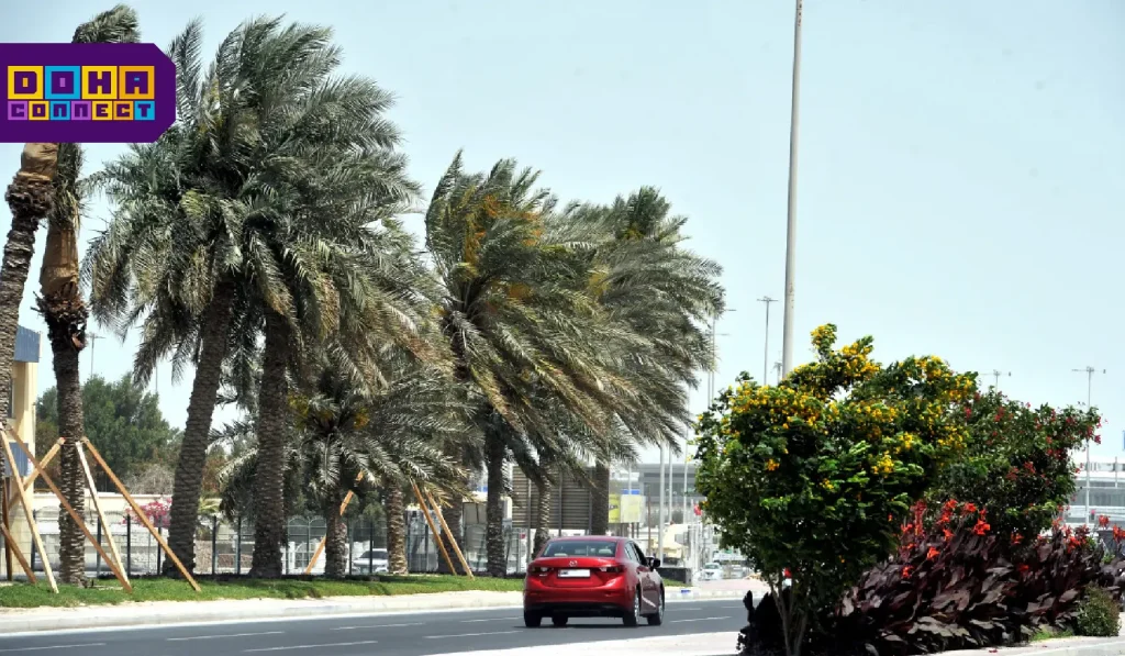QMD issues health warning over dust storm - Doha Connect